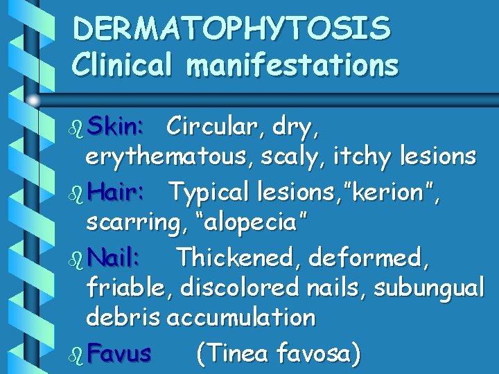 SUPERFICIAL MYCOSES b Dermatophytosis b Pityriasis versicolor b