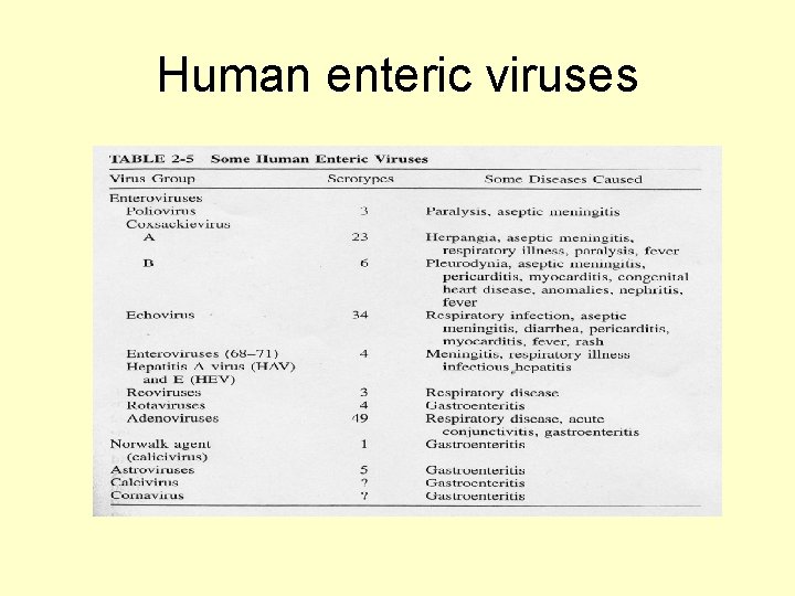Microbial Contaminants in water GwyAm Shin Office Suite