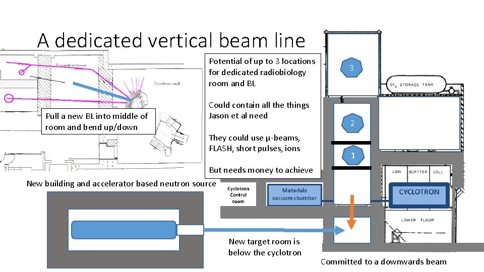 A vertical beamline for radiobiology at the Birmingham