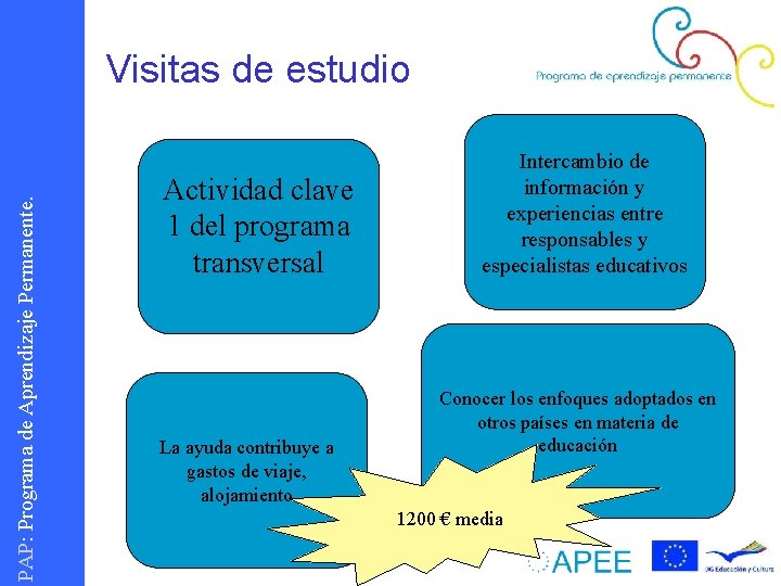 PAP Programa de Aprendizaje Permanente La formacin permanente