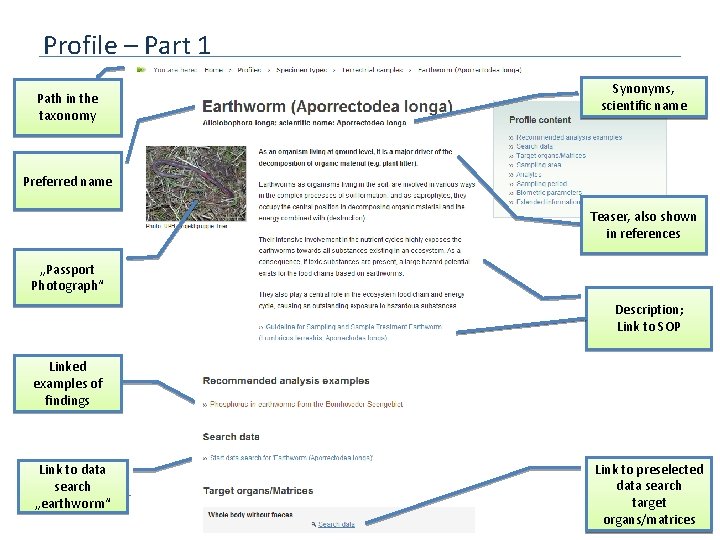 Presentation of data to the public German experience