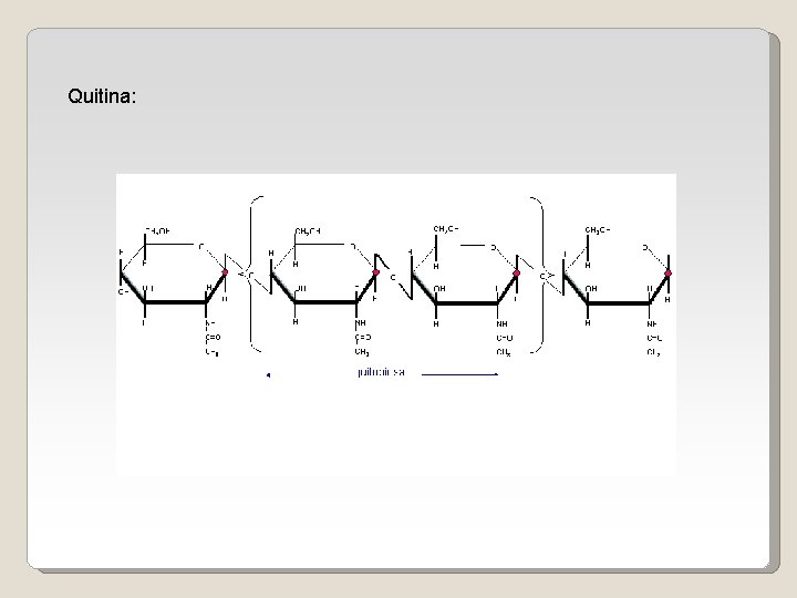 BIQUMICA GLCIDS I LPIDS 1 r Batxillerat Biologia