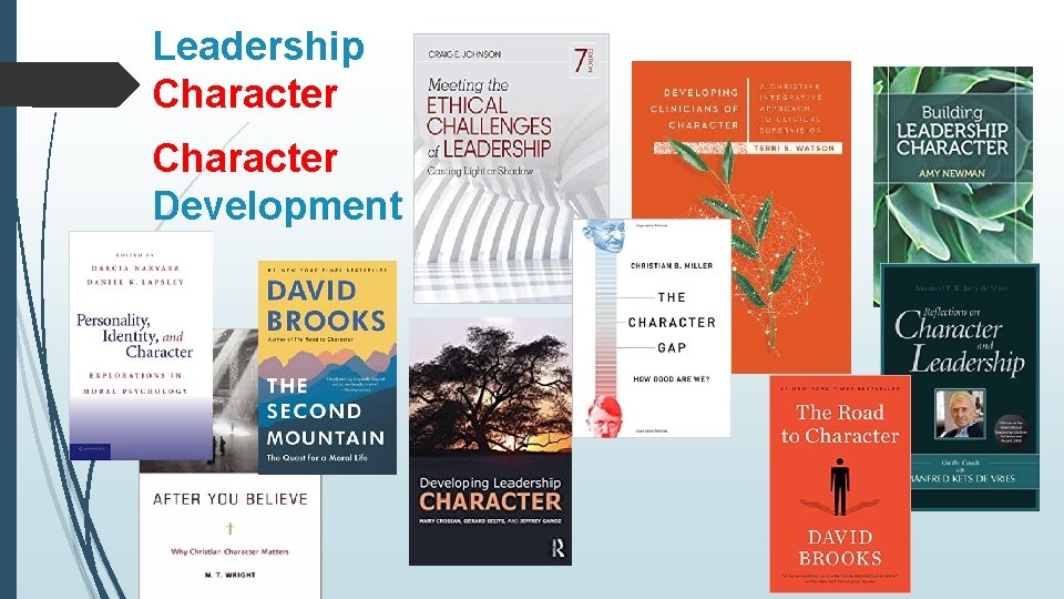 Strategies Disciplines and Resources for Strengthening the Moral