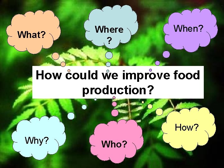 What Where When How could we improve food