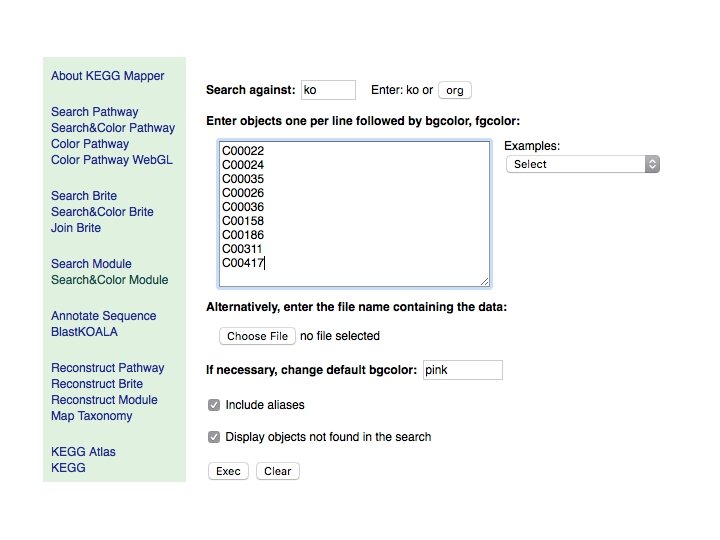 UAB Metabolomics Workshop December 2 2015 Pathway analysis