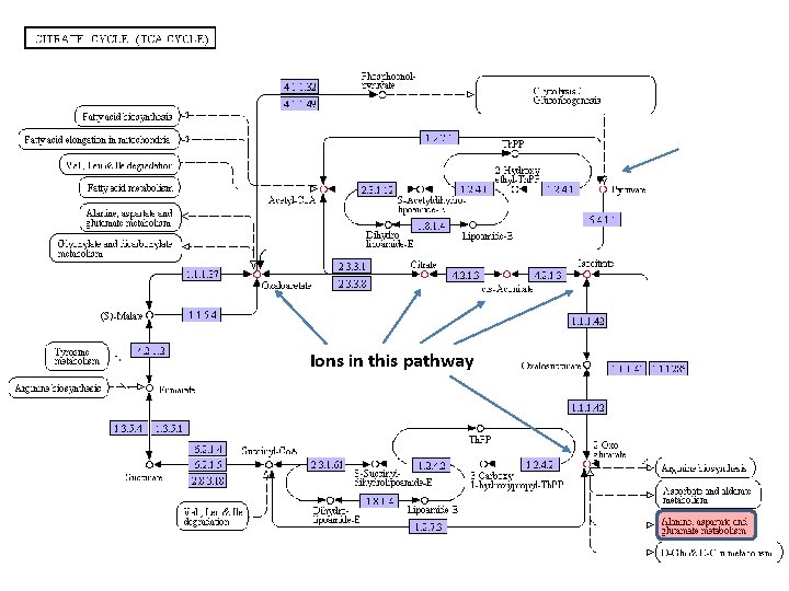 UAB Metabolomics Workshop December 2 2015 Pathway analysis