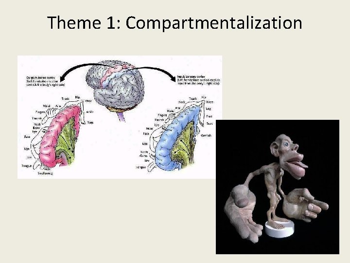Learning and the Brain Emile Bruneau Theme 1