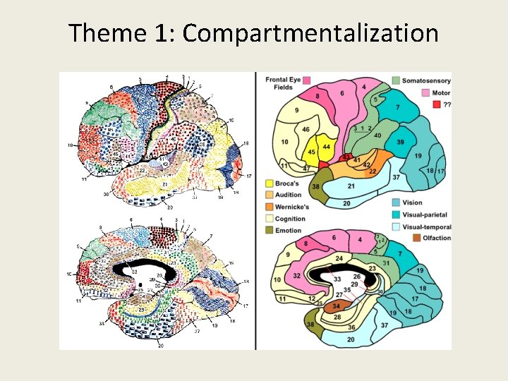 Learning and the Brain Emile Bruneau Theme 1