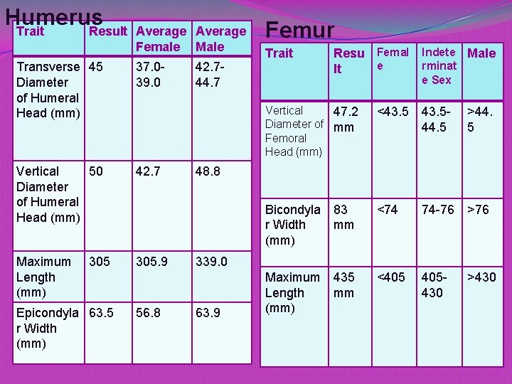 Bone Detectives Skeleton C Introduction ZackRecently we have