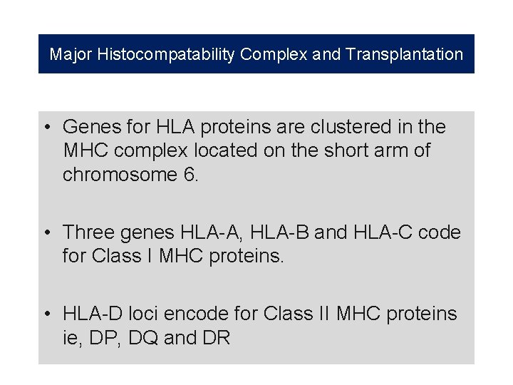 Immunology of transplantation Major Histocompatability Complex and ...
