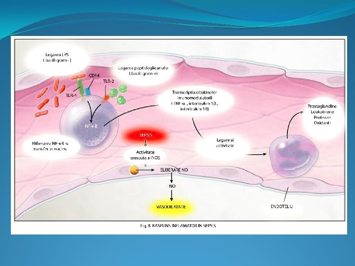 SEPSIS INFECIE GENERALIZAT SEPTICEMIC TIPURI DE INFECIE dup
