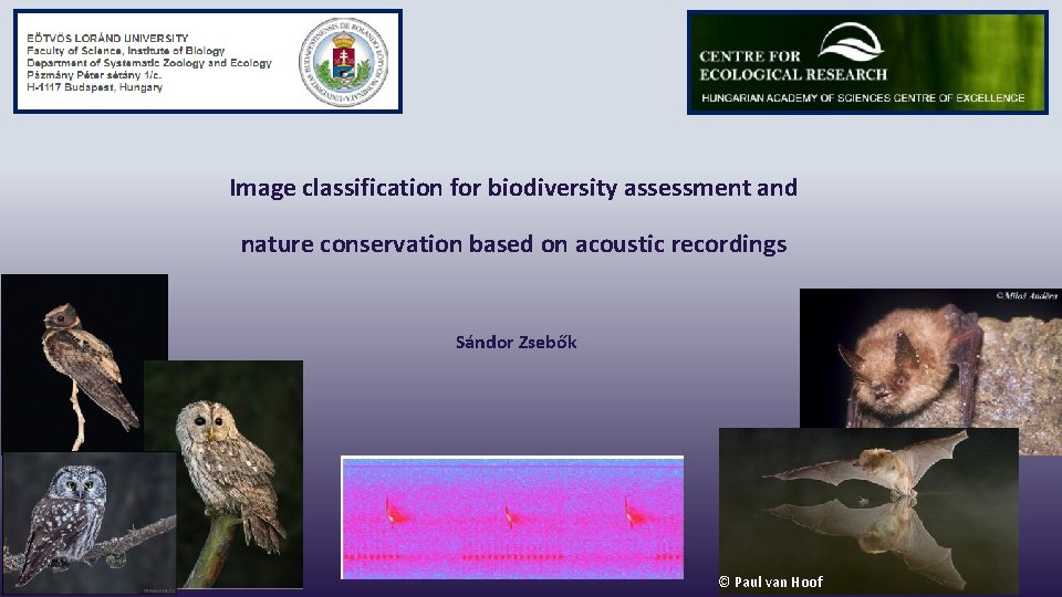 Image classification for biodiversity assessment and nature conservation
