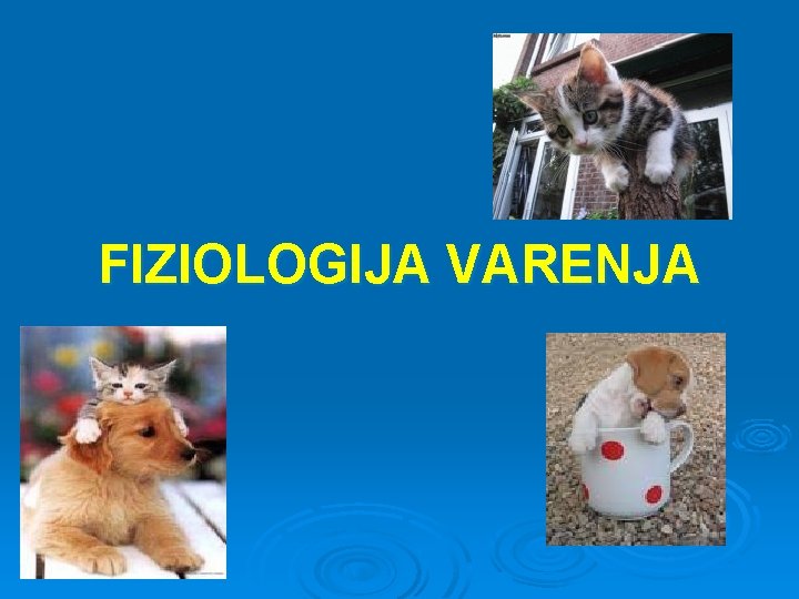 FIZIOLOGIJA VARENJA Varenje hrane odigrava se u alimentarnom