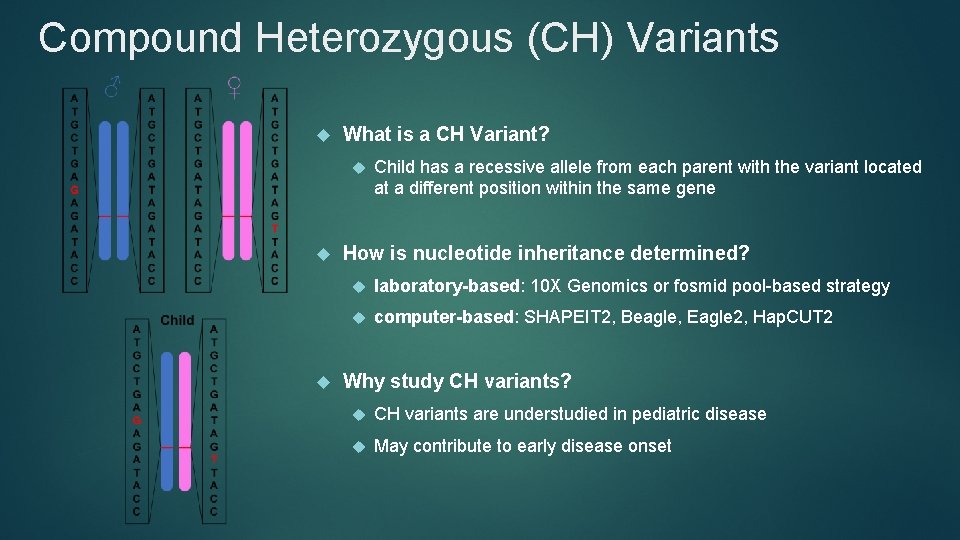 Compound Heterozygous CH Variants What is a CH