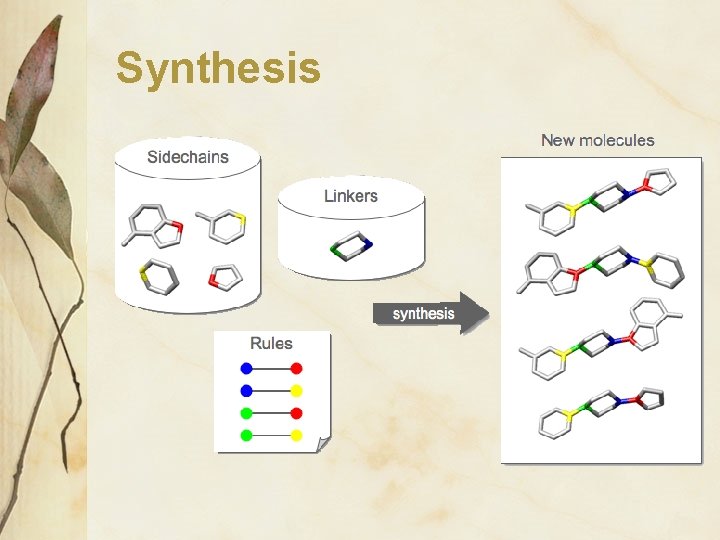 Characteristics of Living Things Life Functions The processes