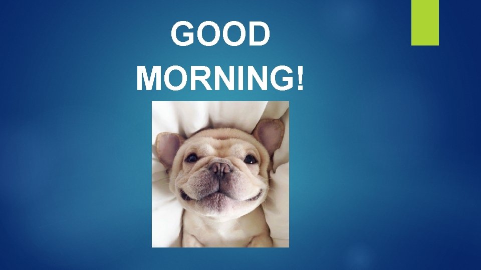 GOOD MORNING POP QUIZ MAGNET GLASS CHIPMUNK COAST