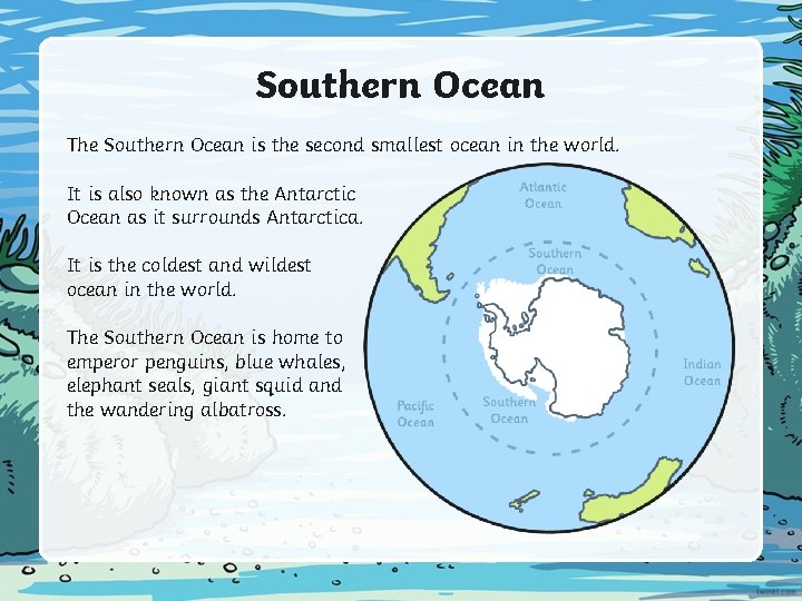 What Is an Ocean An ocean is a