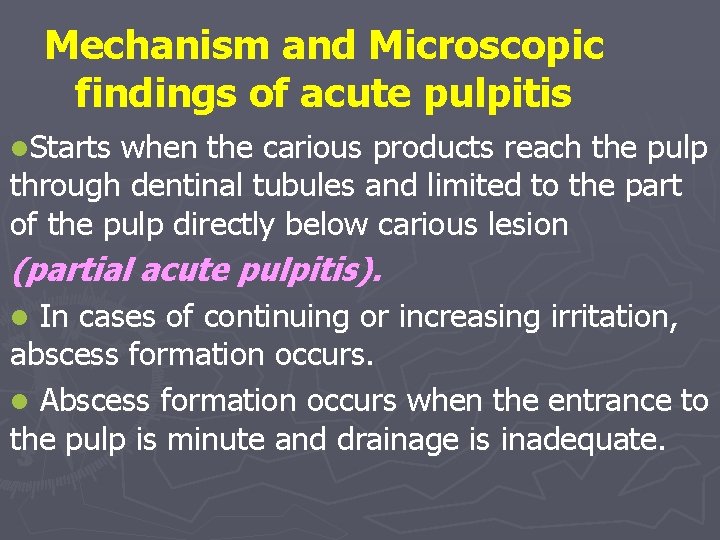 Delicate Normal pulp connective tissue with tiny blood