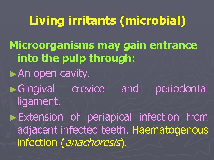 Delicate Normal pulp connective tissue with tiny blood