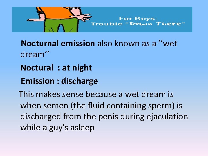 MORE ABOUT PUBERTY 1 Erections Sometimes erections occur