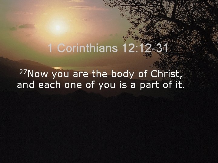 1 Corinthians 12 12 31 12 The body