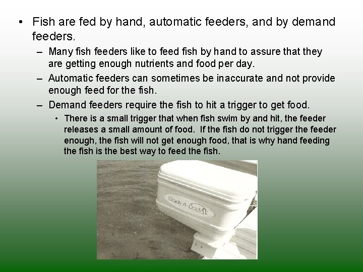 Fish farming is the main form of aquaculturethe