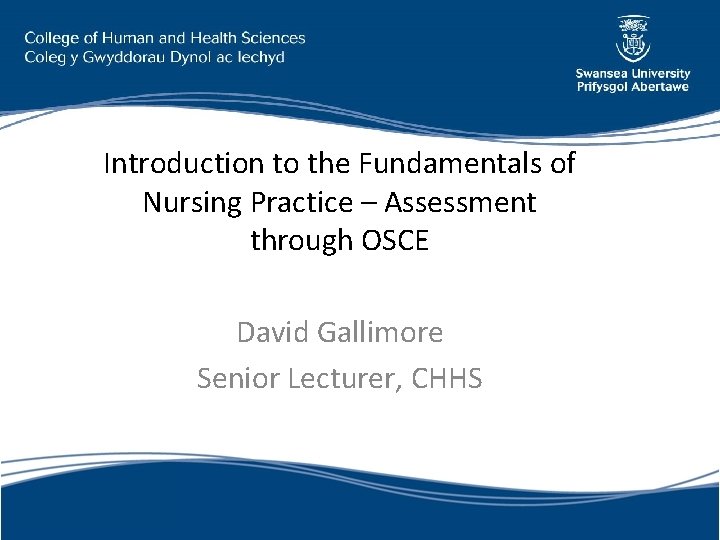 Introduction to the Fundamentals of Nursing Practice Assessment