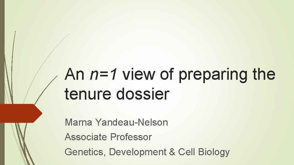 An n1 view of preparing the tenure dossier