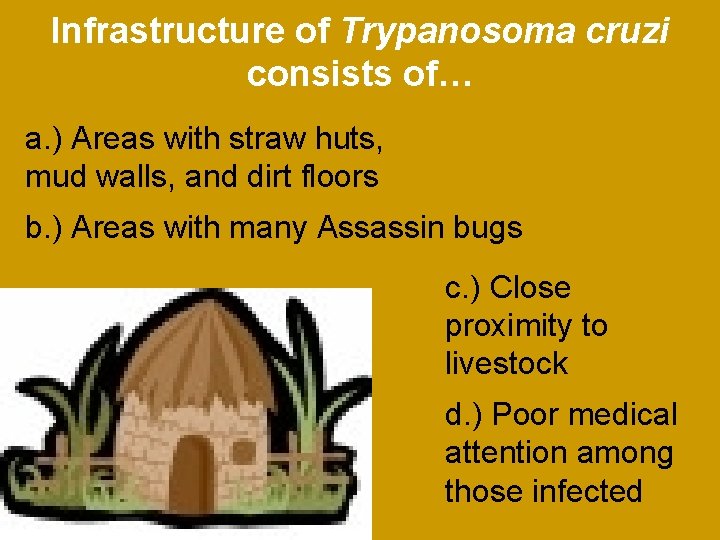 Trypanosoma cruzi Assasin Bug Christopher Ellis Historical Accounts