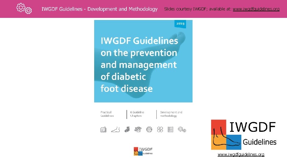 THE NEW IWGDF GUIDELINES Nicolaas Schaper www iwgdfguidelines