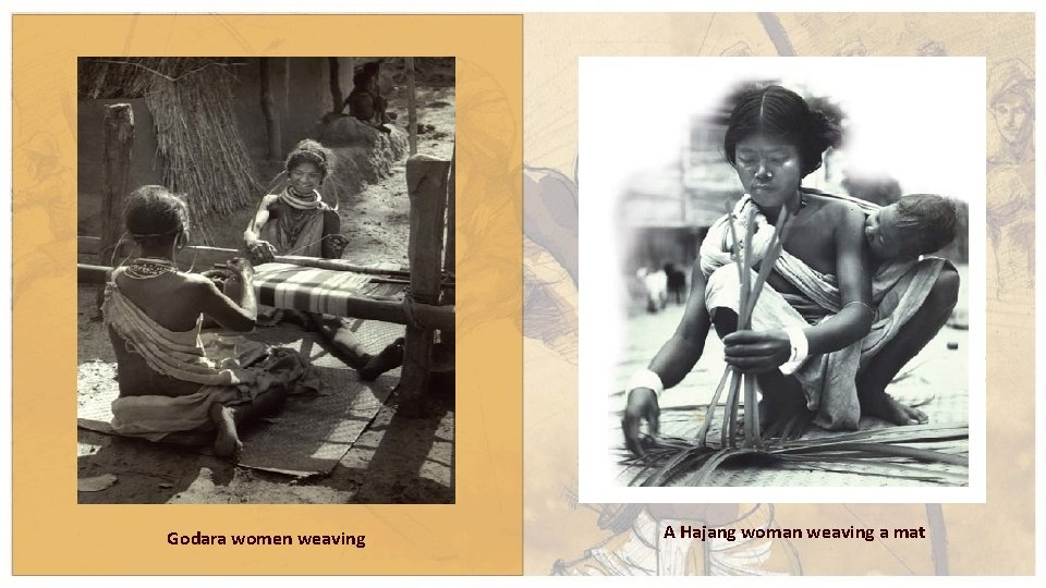CLASS VIII HISTORY CHAPTER 4 TRIBALS DIK US