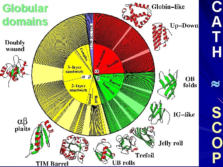 PROTEIN PHYSICS LECTURE 15 Protein Structures Physical Background