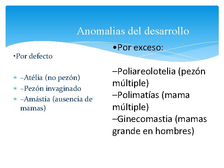 TAMBIEN EN EL TORAX ANTERIOR GLANDULA MAMARIA Glndula