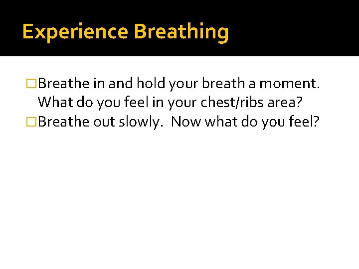 Body Systems Unit The Respiratory System Catalyst 1