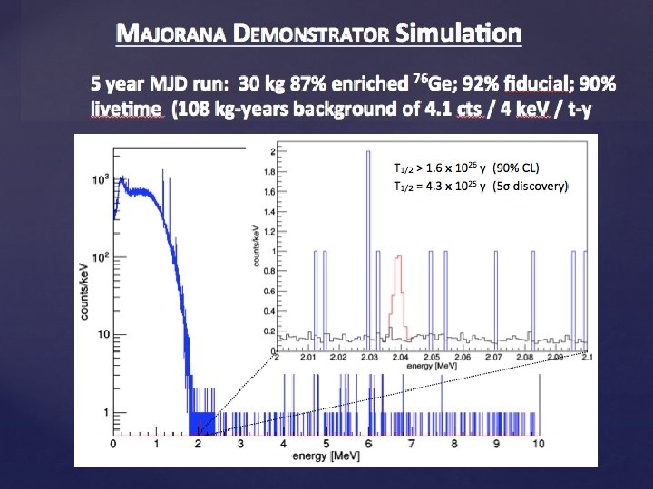 The MAJORANA DEMONSTRATOR an update Frank Avignone University