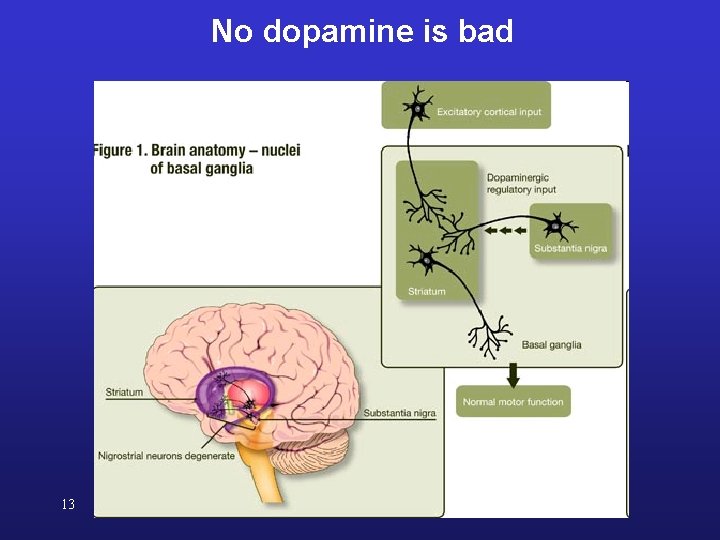 Decision making 1 How does the brain learn