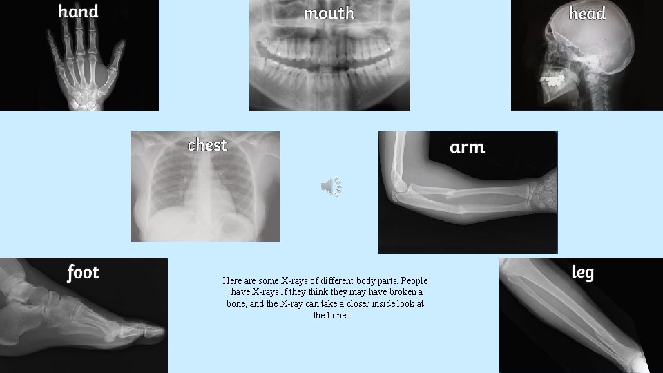 Topic Lesson 2 Science The Human Body In