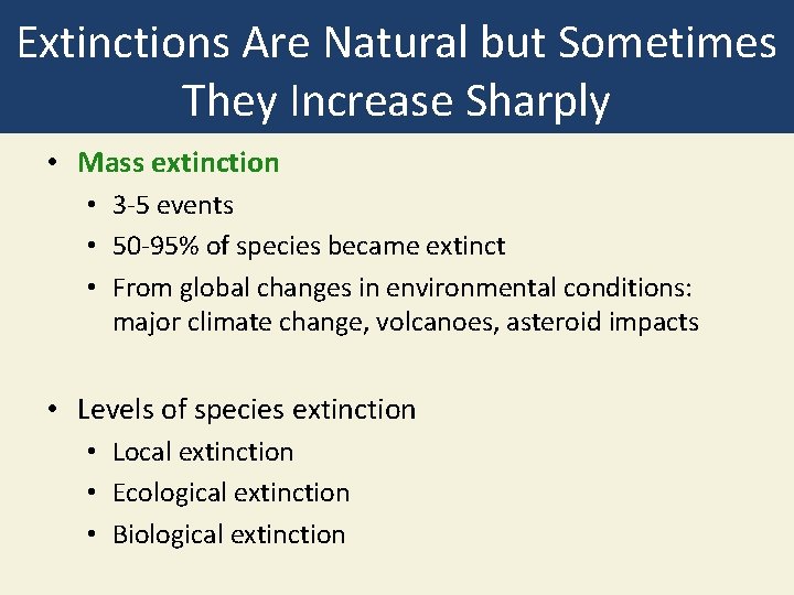 Core Case Study Polar Bears and Global Warming