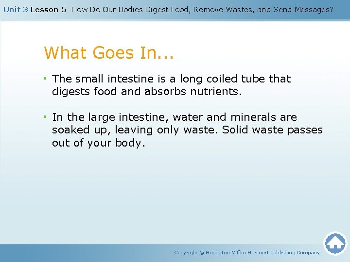 Unit 3 Lesson 5 How Do Our Bodies
