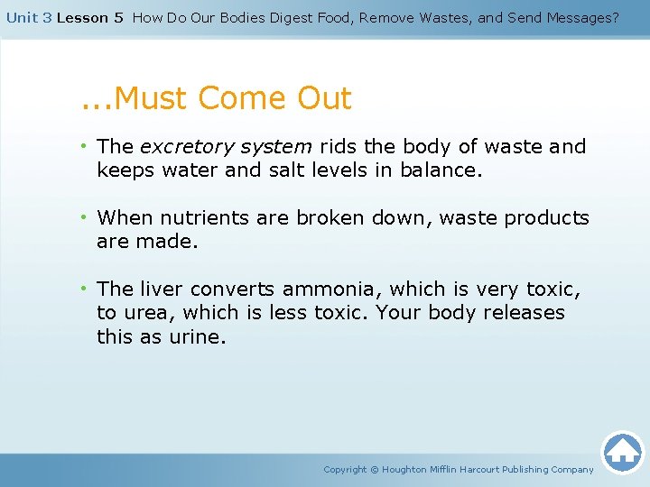 Unit 3 Lesson 5 How Do Our Bodies