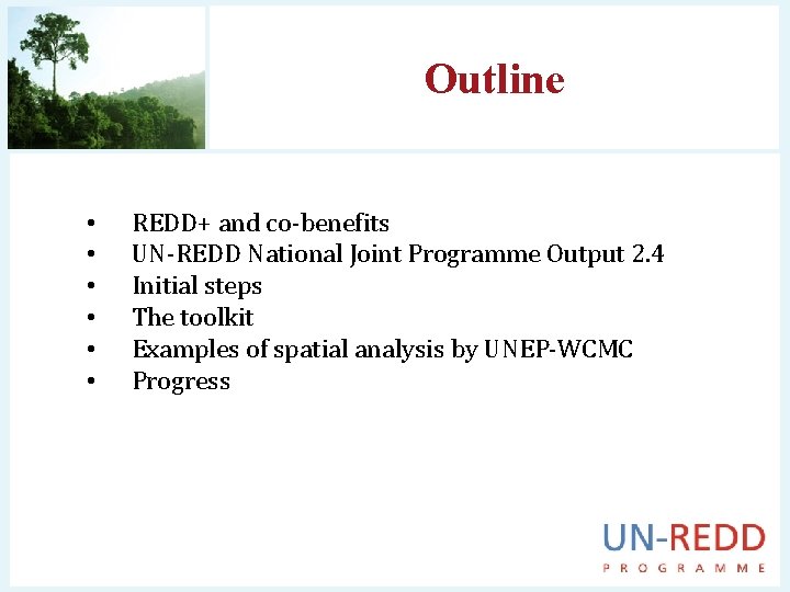 Promoting multiple benefits from REDD Muhammad Farid Outline