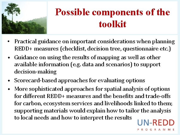 Promoting multiple benefits from REDD Muhammad Farid Outline