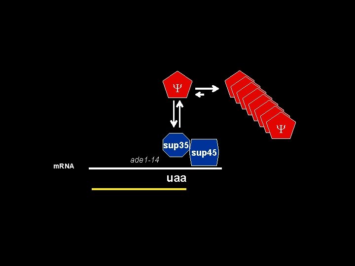 What is epigenetics Mendelian and non mendelian epigenetics