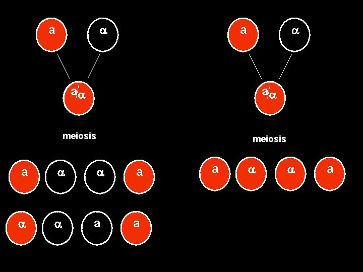 What is epigenetics Mendelian and non mendelian epigenetics