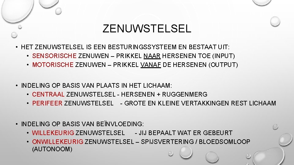 ANATOMIE EN FYSIOLOGIE LES 5 ZENUWEN ZINTUIGEN EN