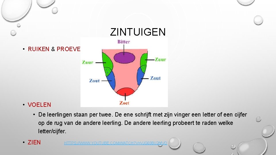ANATOMIE EN FYSIOLOGIE LES 5 ZENUWEN ZINTUIGEN EN