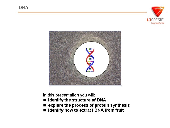 DNA In this presentation you will n identify