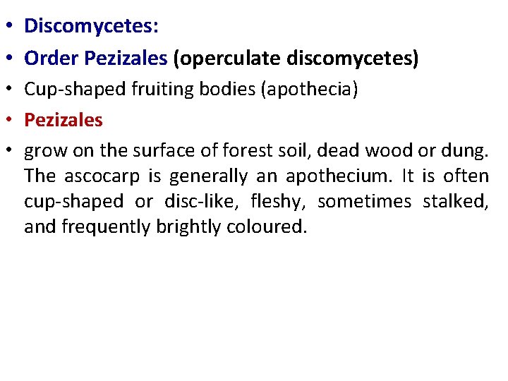 Phylum Ascomycota Class Ascomycetes Sac fungi The name