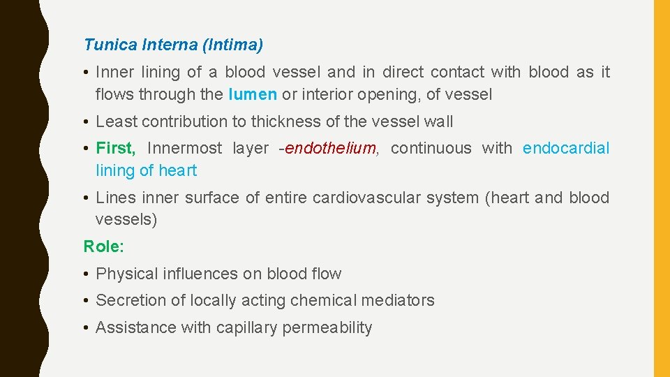 HEART BLOOD VESSEL STRUCTURE SAURABH MARU ASSISTANT PROFESSOR