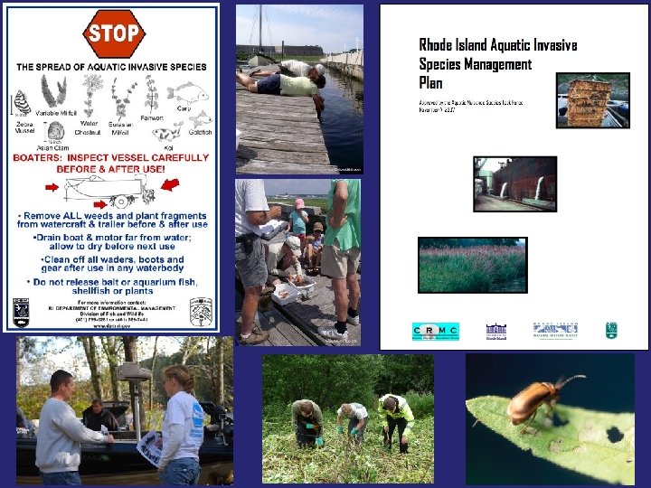 An Introduction to Invasive Species Jennifer West Coastal